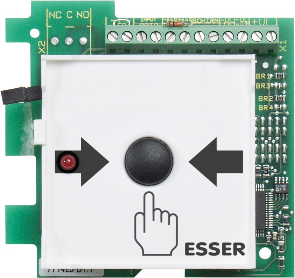 - Business | HLS Austria